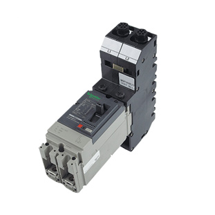 MGP0252L31 | SCHNEIDER MERLIN GERIN | 25A DOUBLE POLE PANEL BOARD MCCB ...