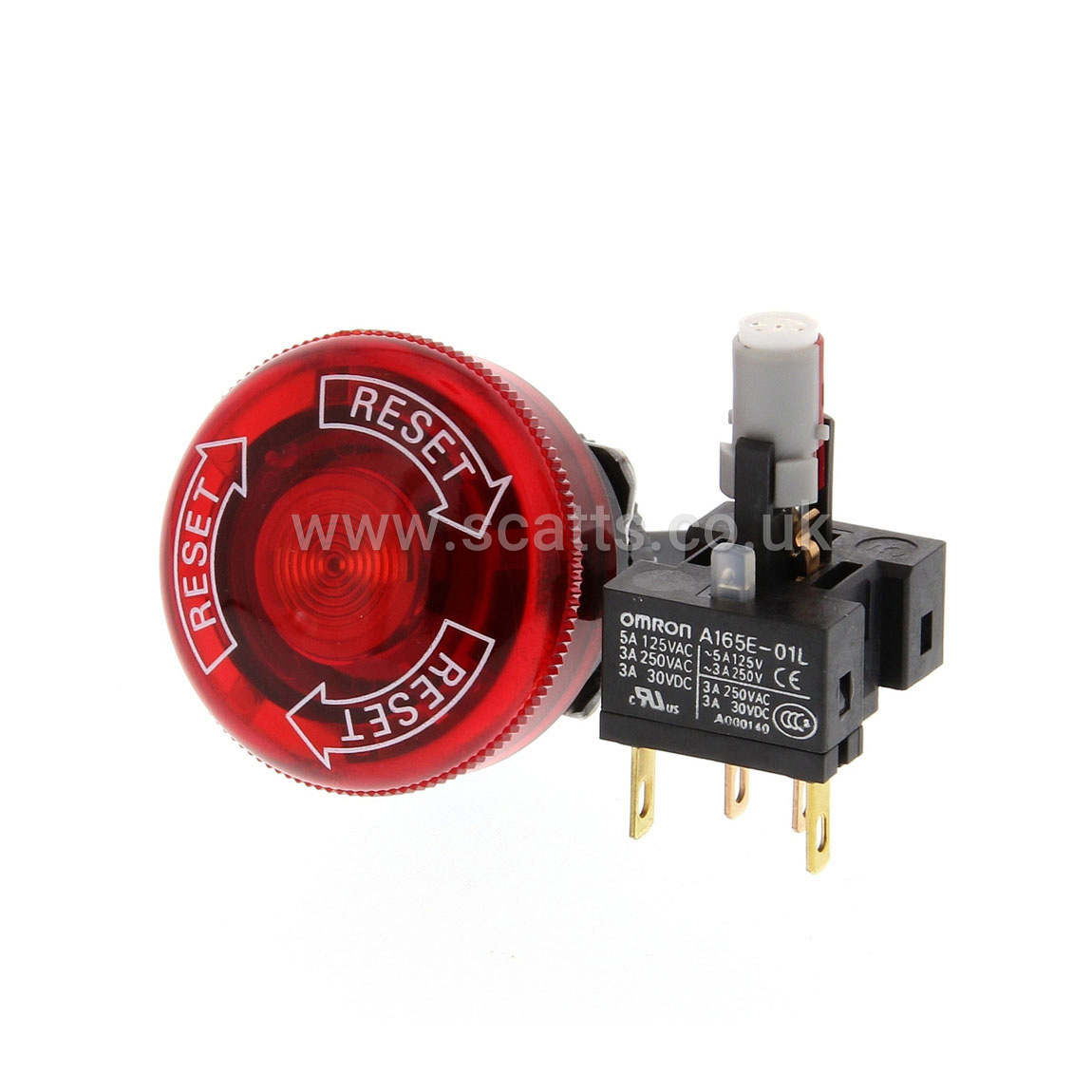 Scattergood & Johnson Ltd | A165E-LS24D-02