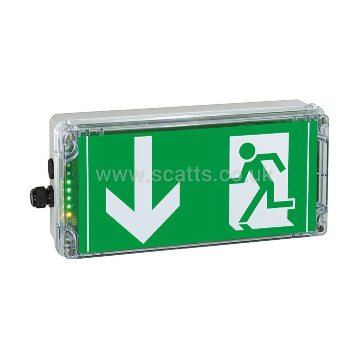 Scattergood & Johnson Ltd | ATEX LED Lighting - ATEX Lighting