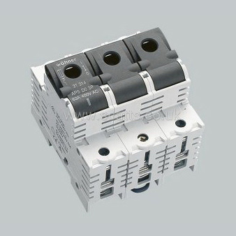 31314 | WOHNER | 31314 | D0 FUSE SWITCH DISCON.TP