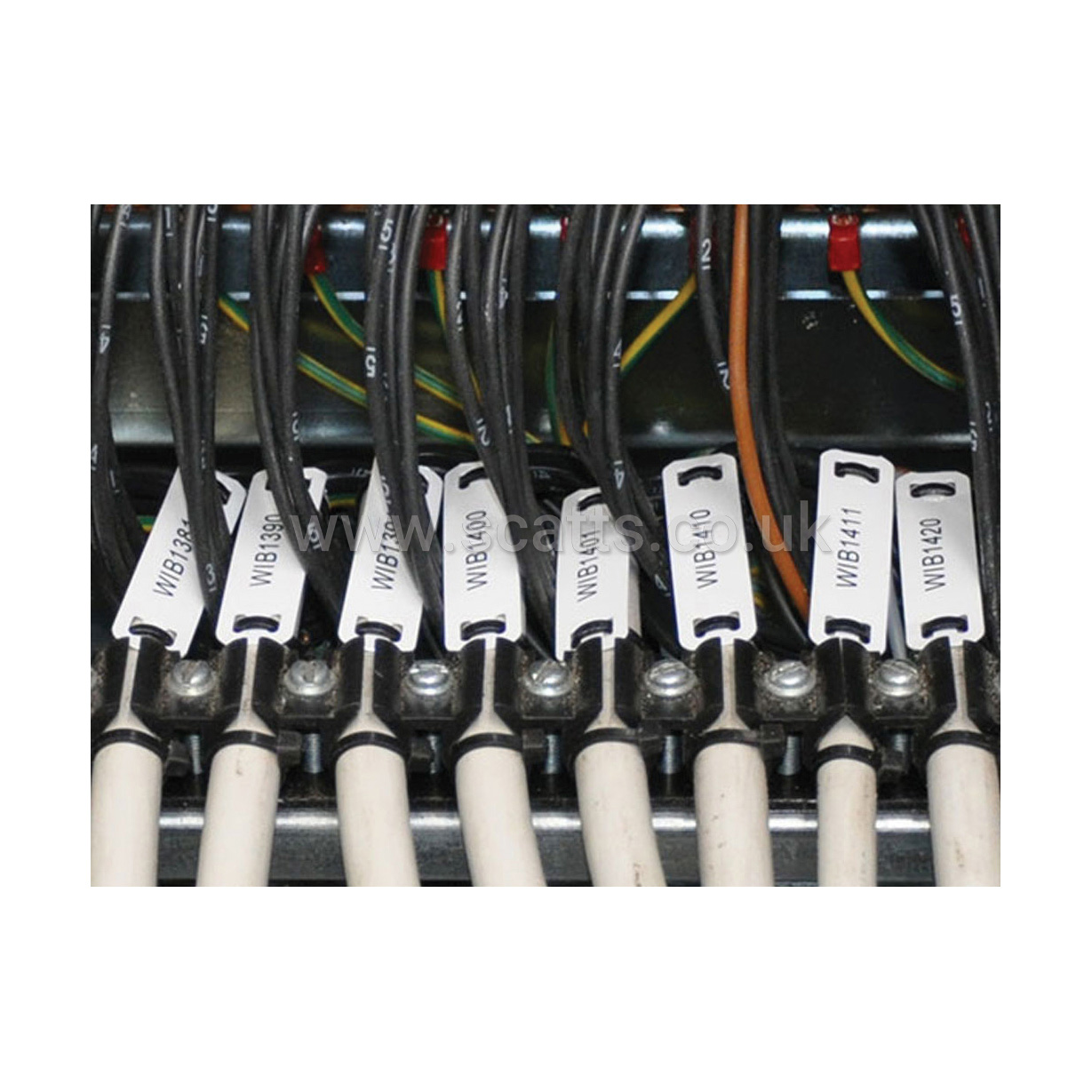 ETF-64162-SBS/BOX | CEMBRE | 4101649 | BLUE 13X57 TAGS (50SHEETX14)