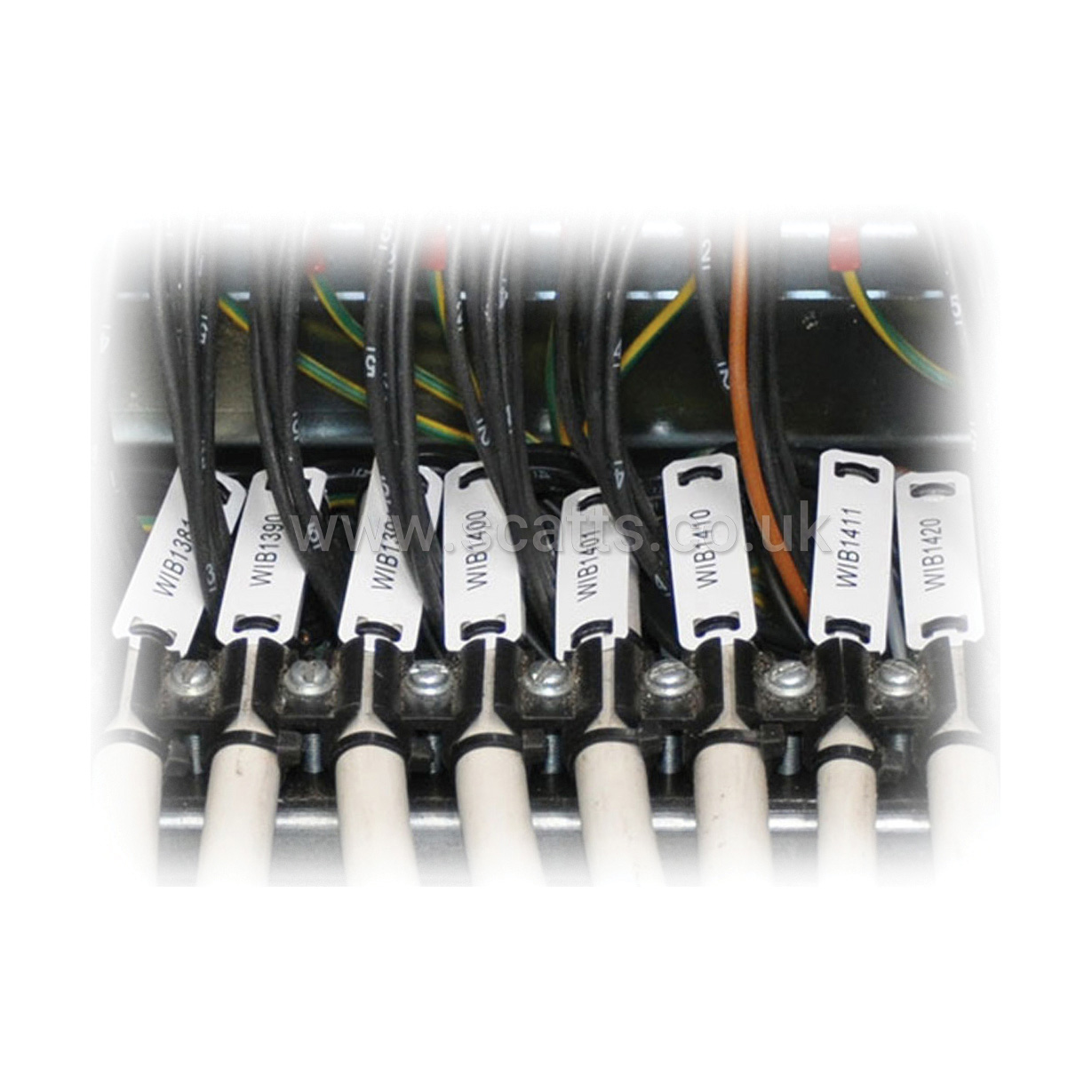 ETF-64122-SBS/BOX | CEMBRE | 4101651 | RED 13X57 TAGS(50SHEETX14)